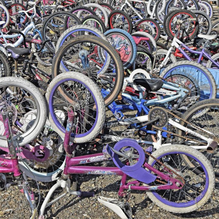 Bicycle Graveyard | Shutterbug